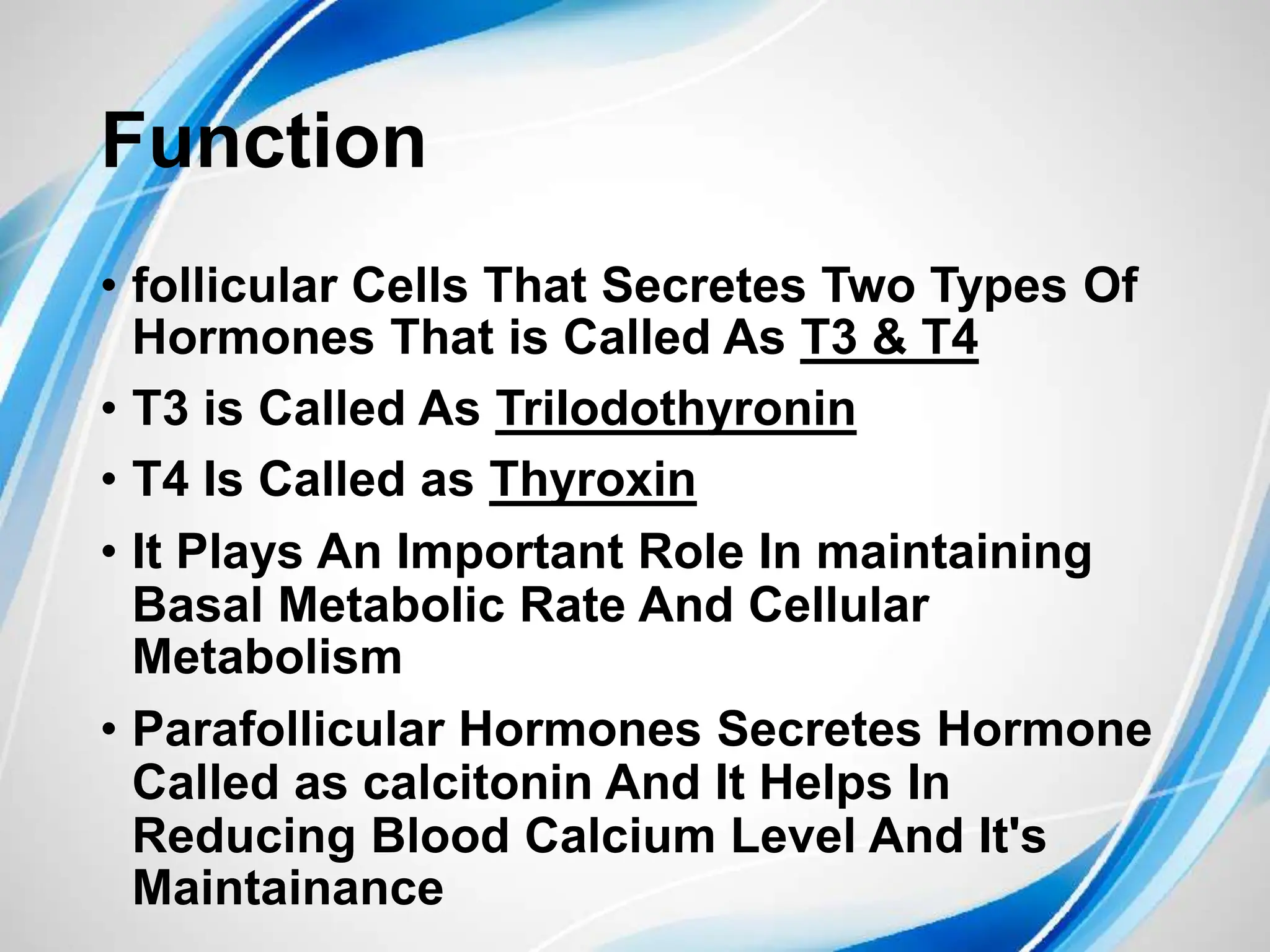 Thyroid Gland Histology Seminar WPS Office.pptx