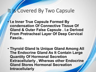 Thyroid Gland Histology Seminar WPS Office.pptx