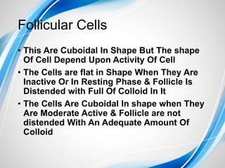 Thyroid Gland Histology Seminar WPS Office.pptx