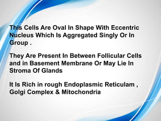 Thyroid Gland Histology Seminar WPS Office.pptx