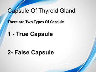 Thyroid Gland Histology Seminar WPS Office.pptx