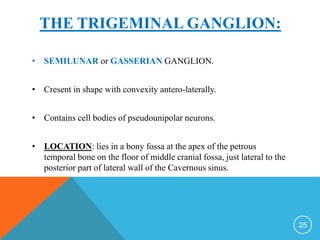 Trigeminal Nerve and its applied aspects | PPTX