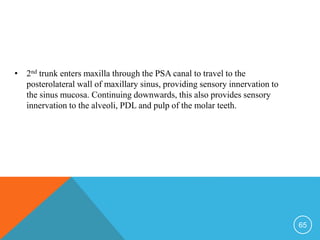 Trigeminal Nerve and its applied aspects | PPTX