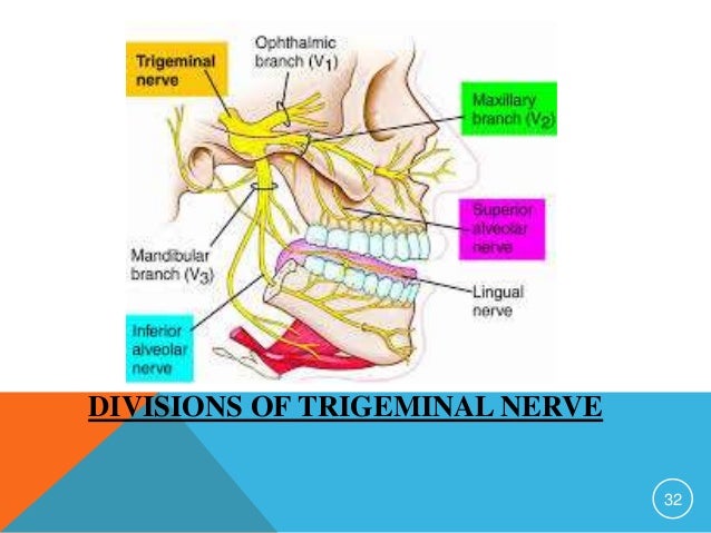 Trigeminal Nerve and its applied aspects
