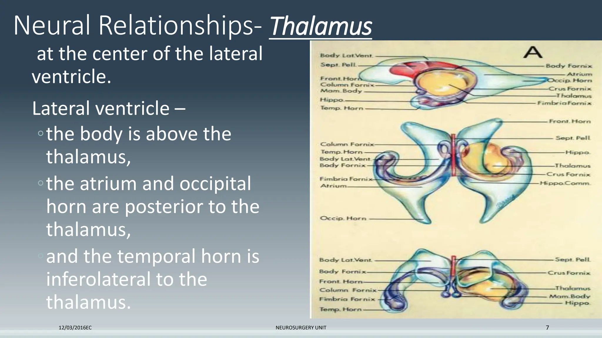 Ventricle anatomy and CSF physiology.pptx