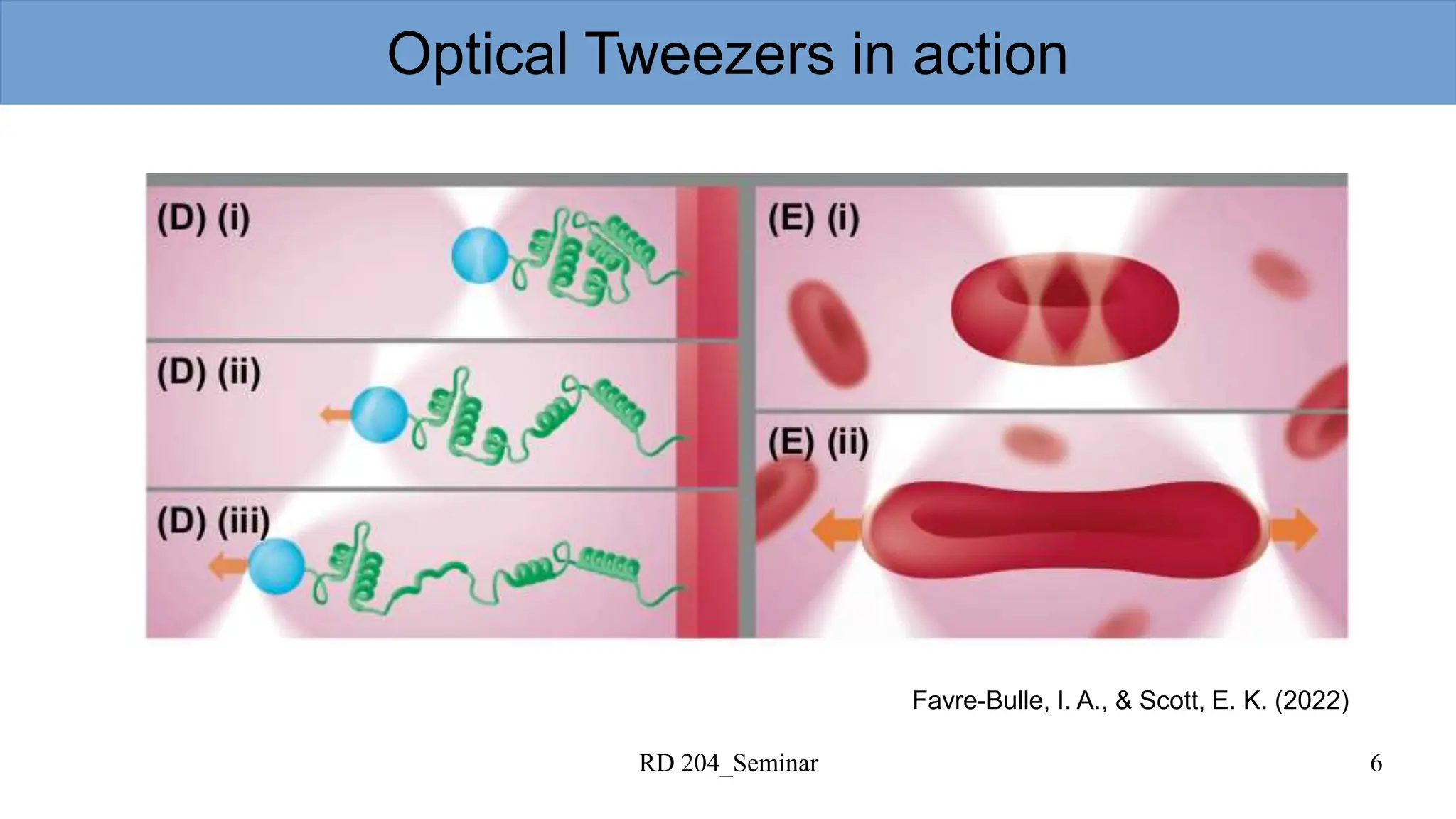 Optical tweezers_Akash.pptx | Physics | Science