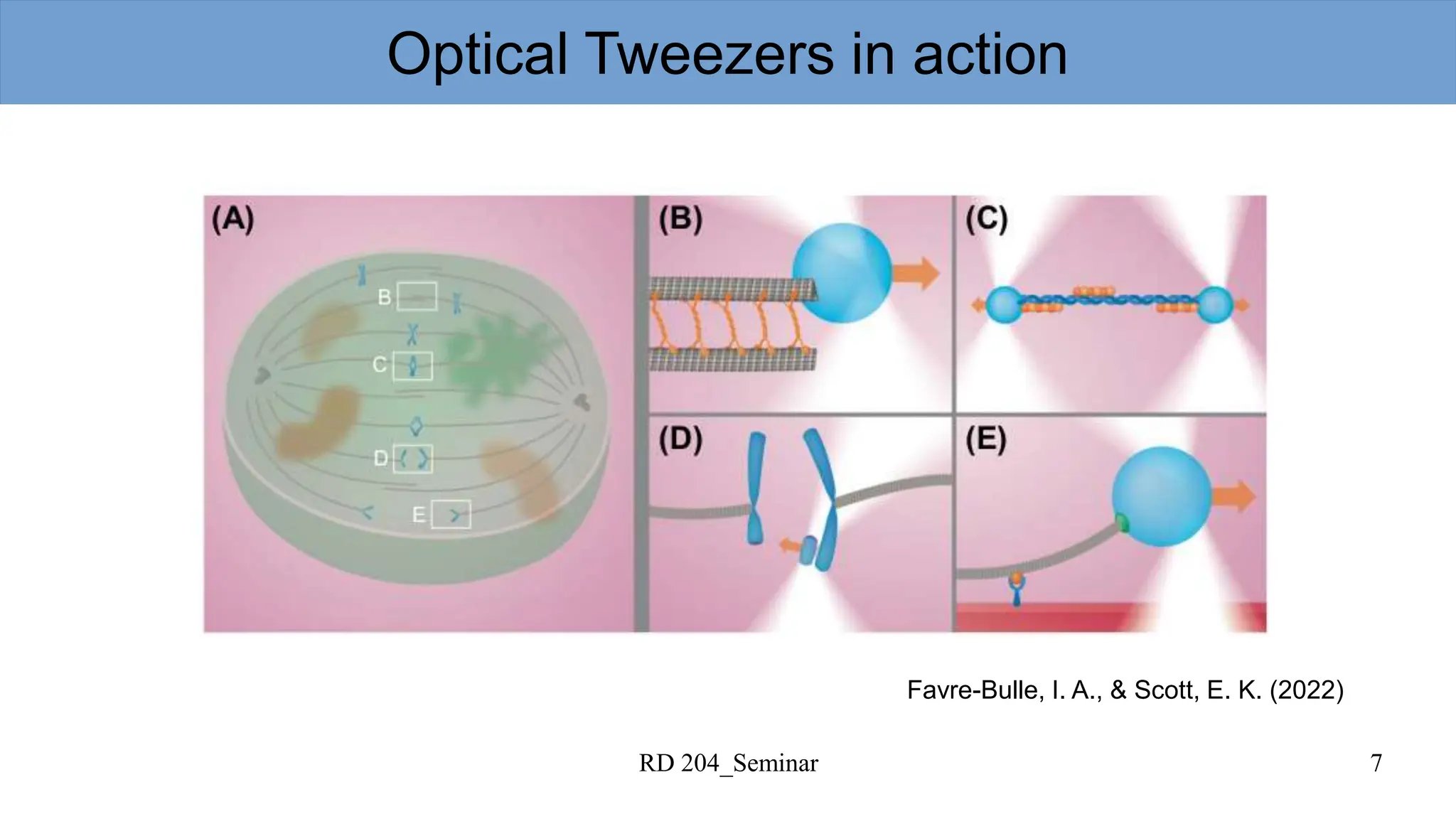 Optical tweezers_Akash.pptx | Physics | Science