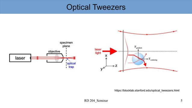 Optical tweezers_Akash.pptx | Physics | Science