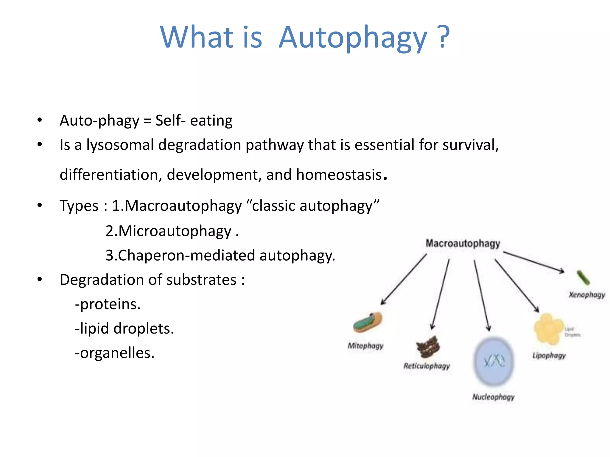Autophagy Pathways as Pharmacological Target in Parkinson's Disease | PPTX