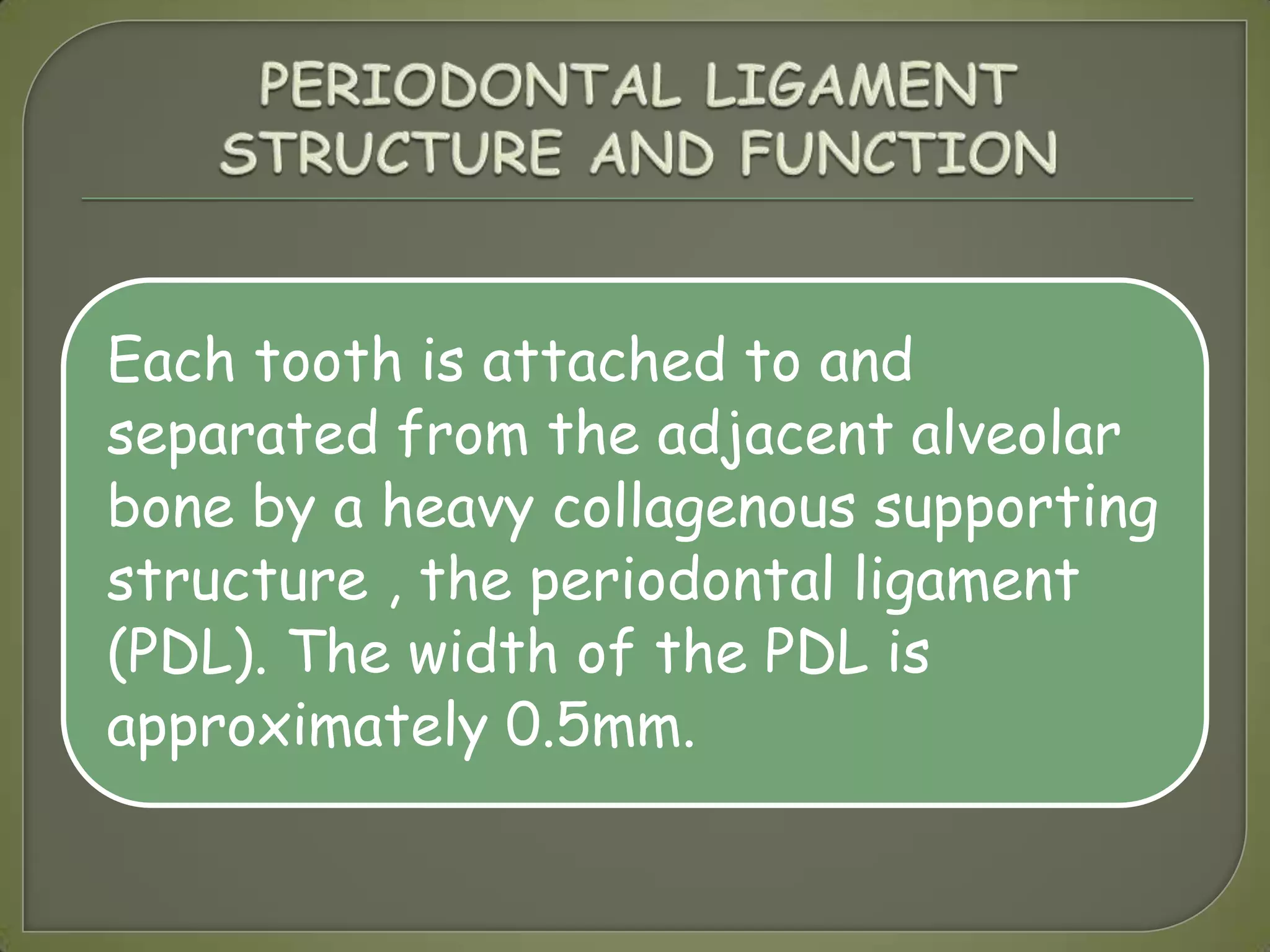 BIOLOGY OF TOOTH MOVEMENT | PPTX