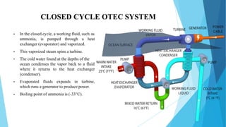 OTEC.pptx