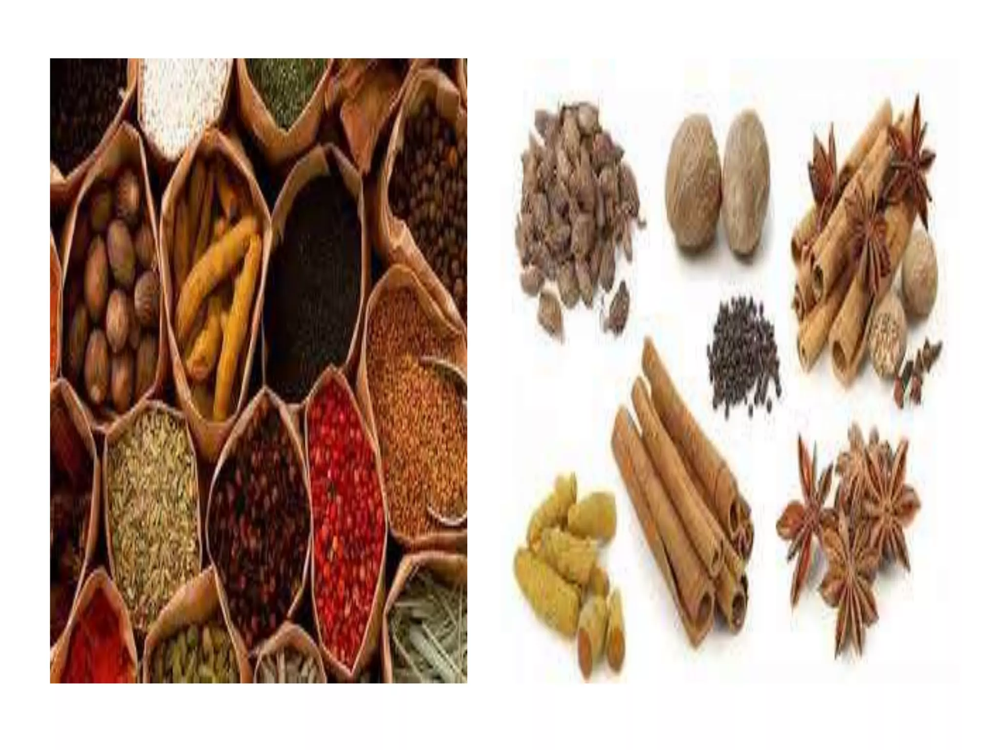 konservasi plasma nutfah | PPTX