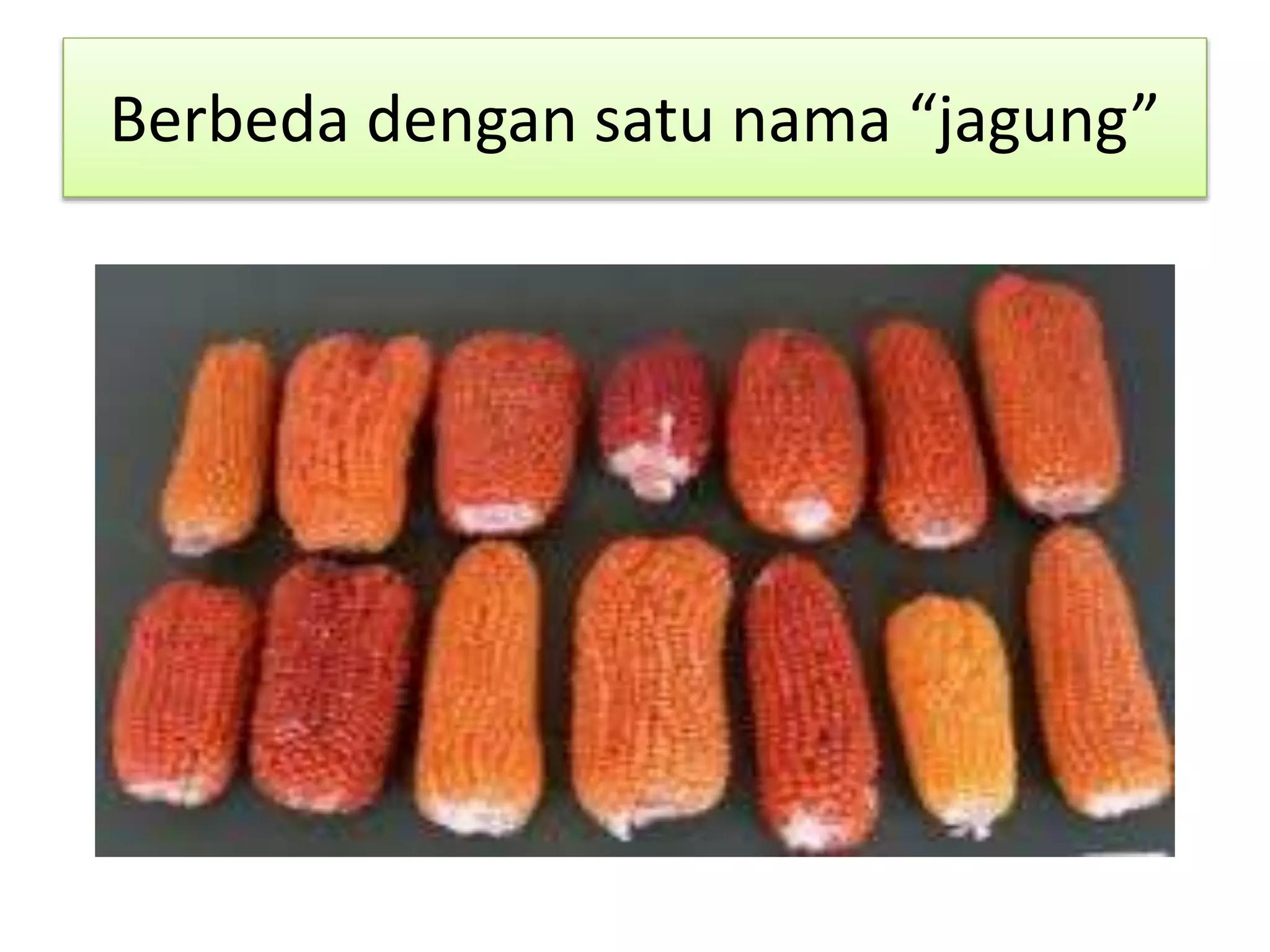 konservasi plasma nutfah | PPTX