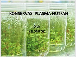 konservasi plasma nutfah | PPTX