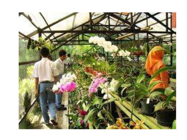 konservasi plasma nutfah | PPTX