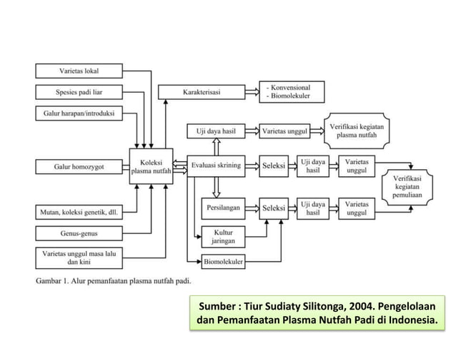 konservasi plasma nutfah | PPTX