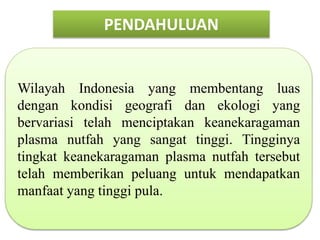 konservasi plasma nutfah | PPTX