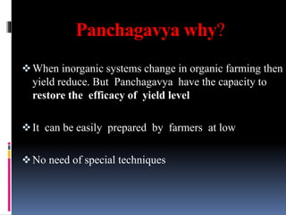 panchagavya an astonishing prodct. | PDF