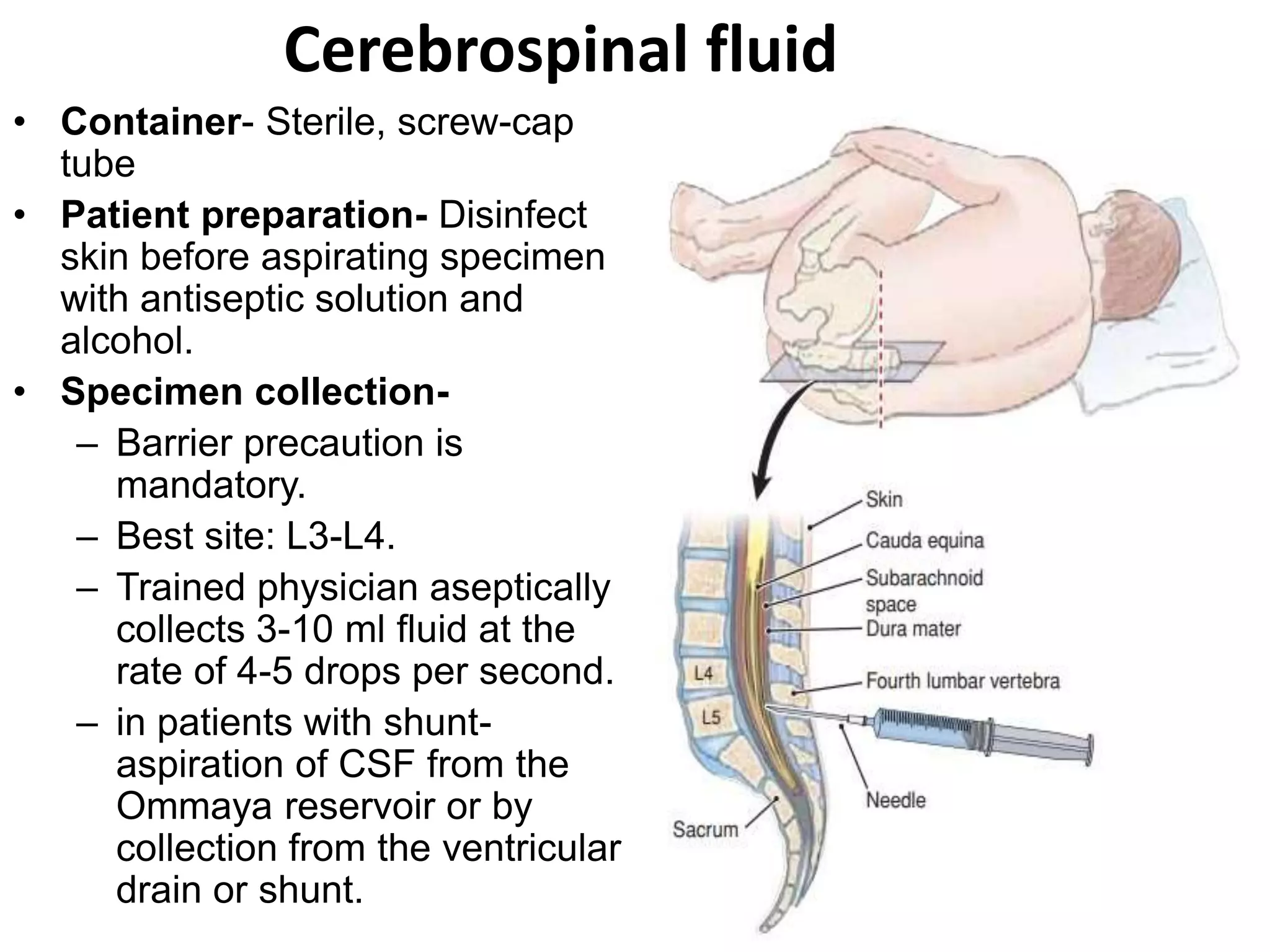 samplecollection and transport of sample | PPTX