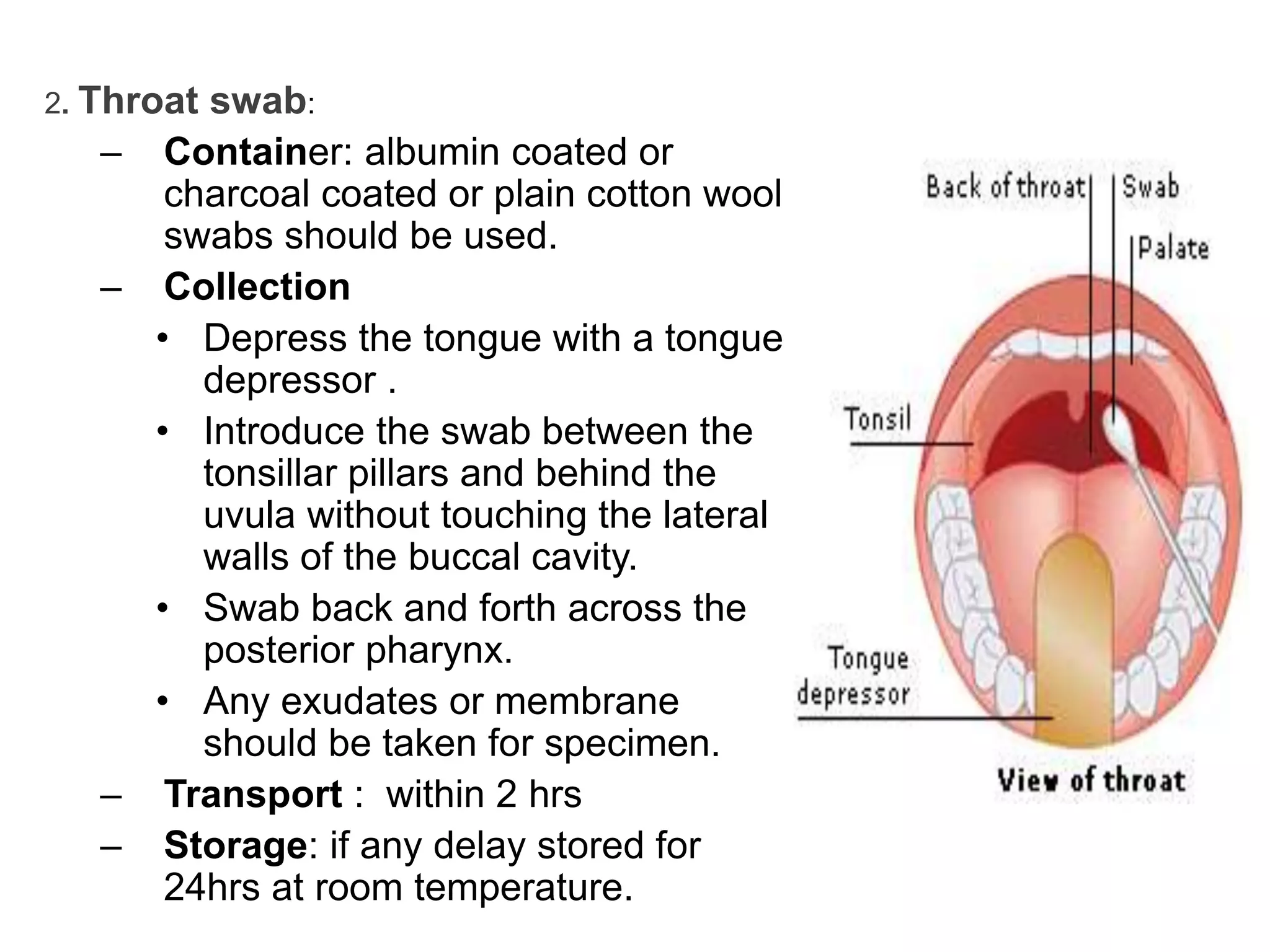 samplecollection and transport of sample | PPTX