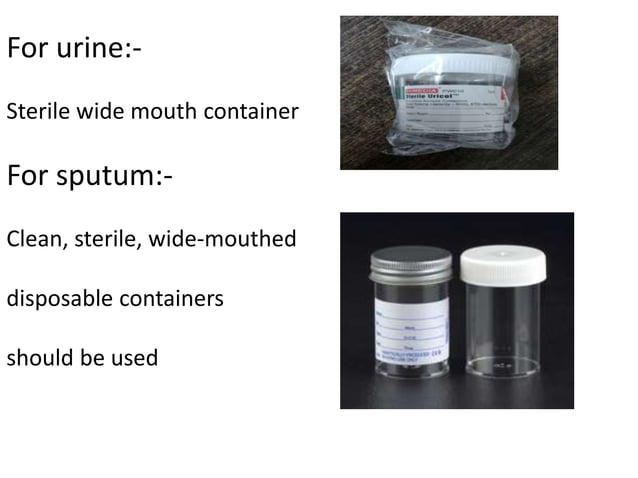 samplecollection and transport of sample | PPTX