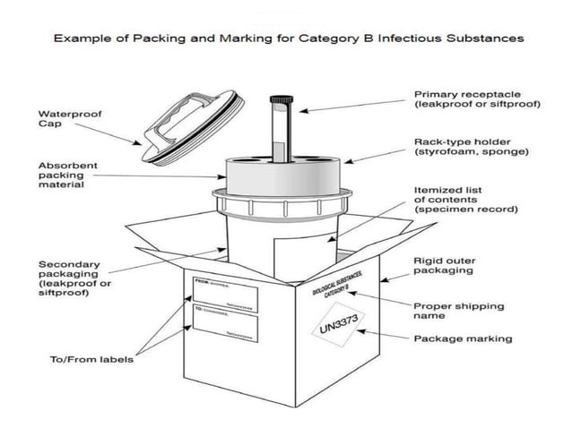 samplecollection and transport of sample | PPTX