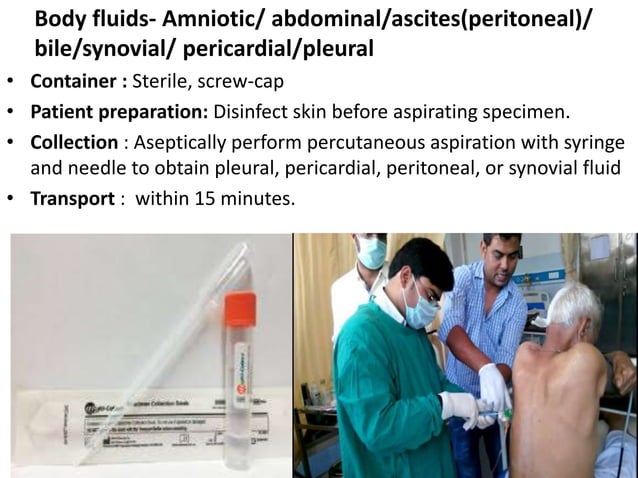 samplecollection and transport of sample | PPTX