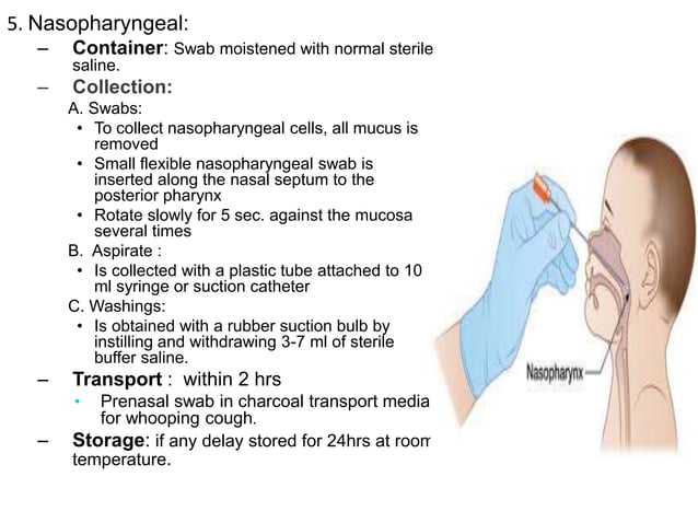 samplecollection and transport of sample | PPTX