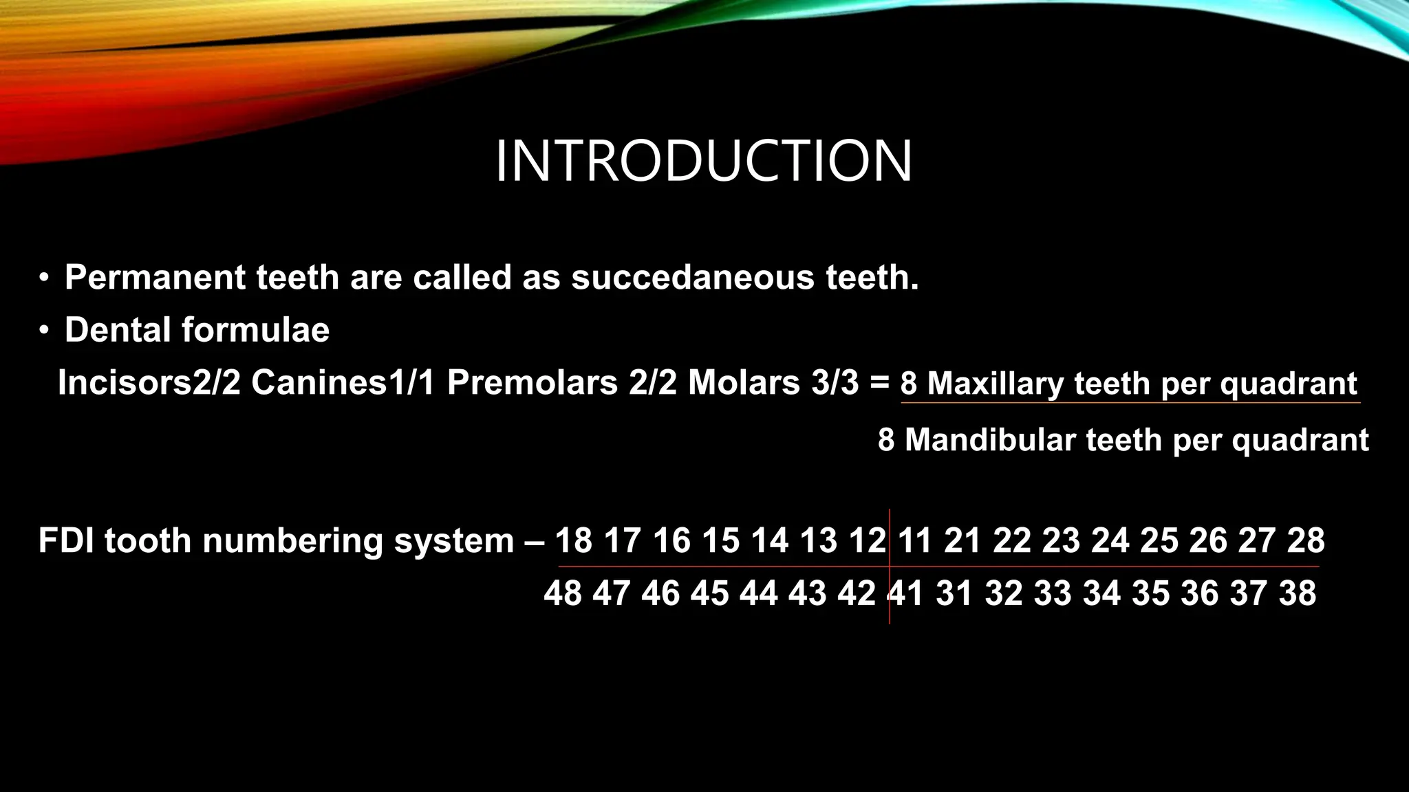 Morphology of permanent dentition - incisior, canines, permolars and ...