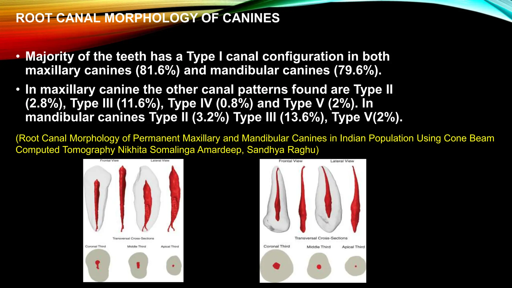 Morphology of permanent dentition - incisior, canines, permolars and ...