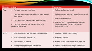 Morphology of permanent dentition - incisior, canines, permolars and ...