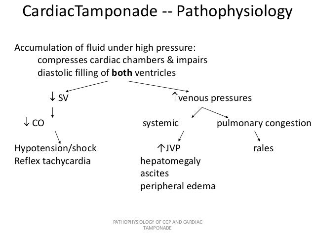 Pathophysiology of ccp and cardiac tamponade