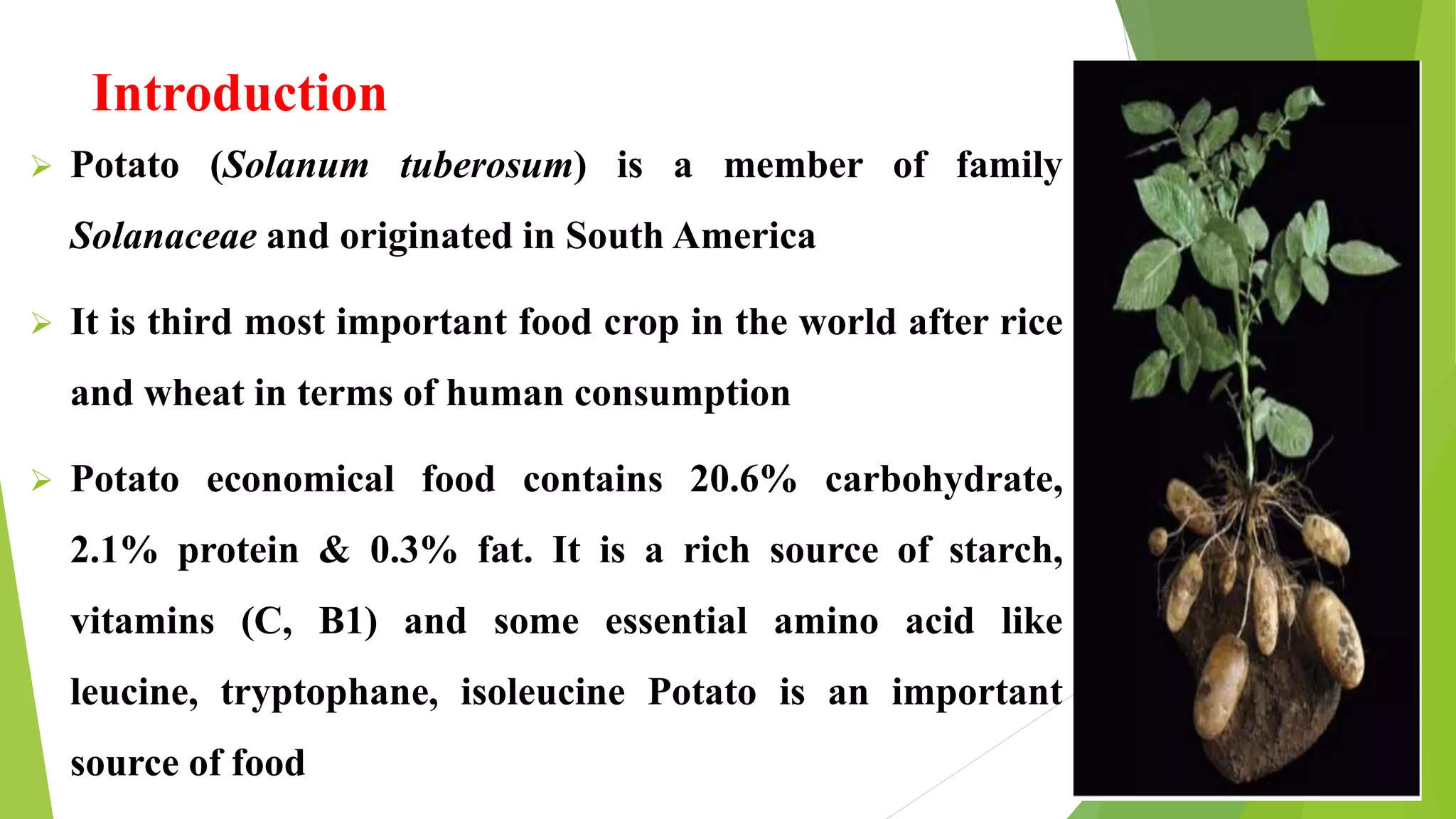 Role of molecular marker for the improvement of Potato (Solanum ...