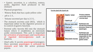 ph and buffers | PPTX
