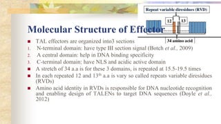 Gene Editing: An Essential Tool For Plant Breeding | PPT