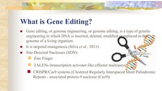Gene Editing: An Essential Tool For Plant Breeding | PPTX