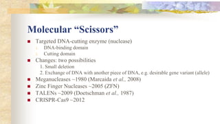 Gene Editing: An Essential Tool For Plant Breeding | PPT