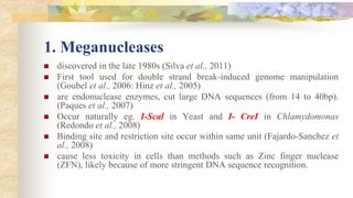 Gene Editing: An Essential Tool For Plant Breeding | PPT