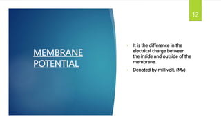 plasmodesmata, porins, ion channels, membrane potential | PPTX