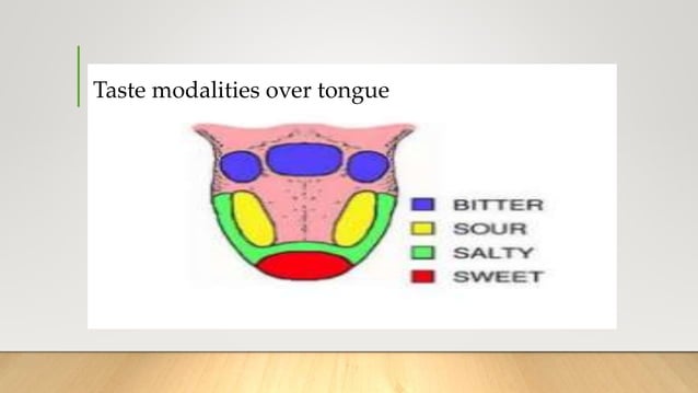 Seminar Physiology of taste buds.pptx