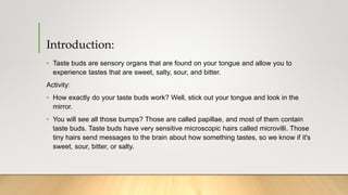 Seminar Physiology of taste buds.pptx