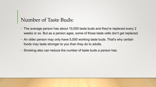 Seminar Physiology of taste buds.pptx