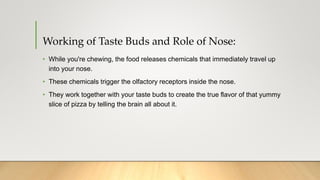Seminar Physiology of taste buds.pptx