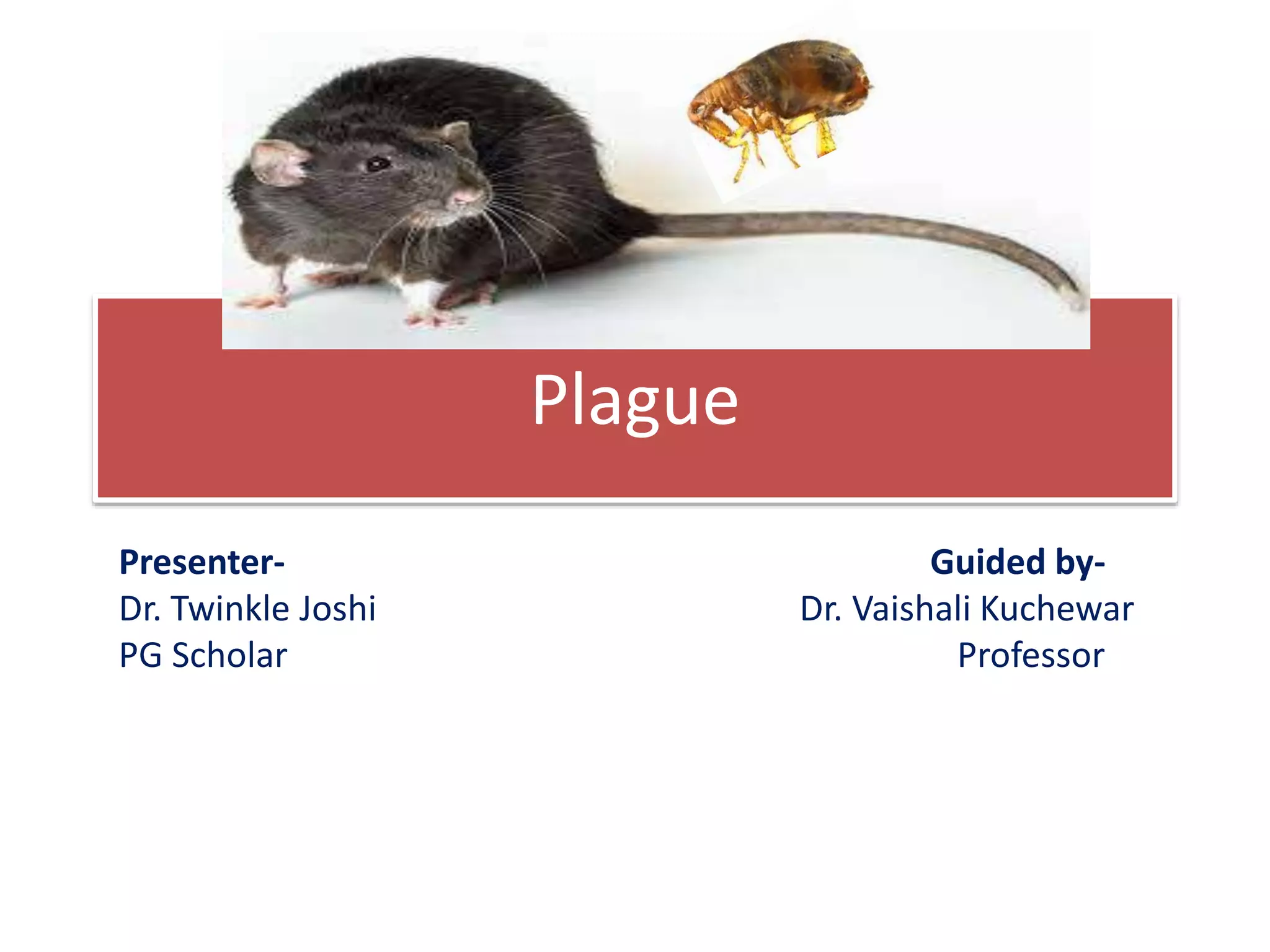 PLAGUE | PPT