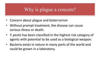 PLAGUE | PPTX