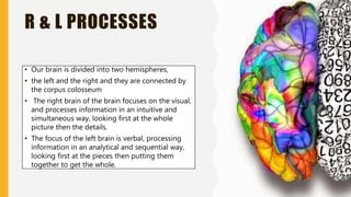 Brain hemispheres and information process | PPTX