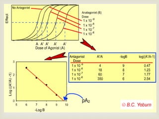 Biological & mathematical interpolation of receptors in tissue | PPTX