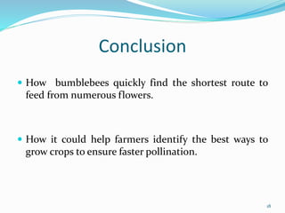 Seminar ppt | PPT