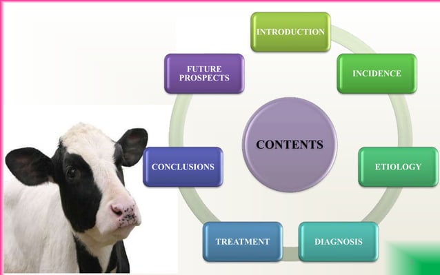Practical approaches for treatment of Repeat Breeding Syndrome in Dairy ...