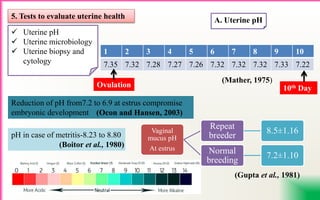 Practical approaches for treatment of Repeat Breeding Syndrome in Dairy ...